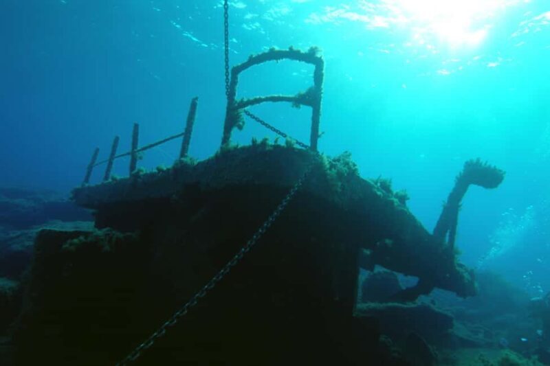 Paphos: The Yellow Glass-Bottom Boat Cruise Swim & Snorkel - Key Points