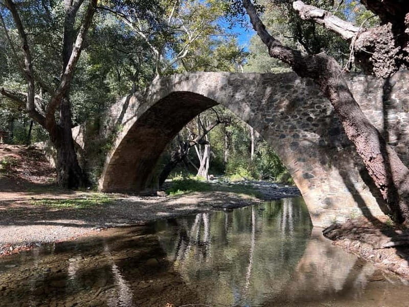 Paphos: Troodos Mountains Jeep Tour with Wine Tasting - Key Points