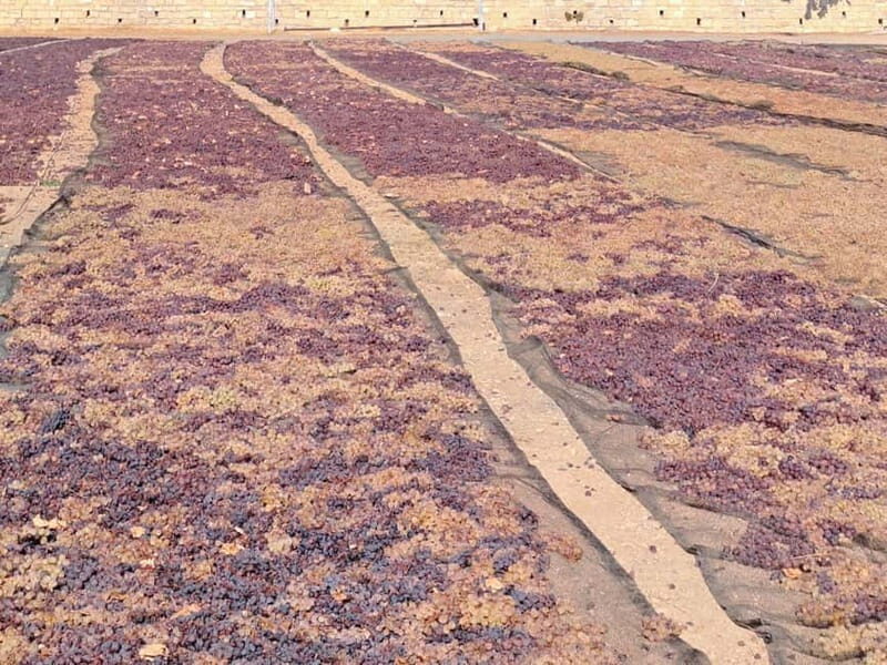 Paphos - Troodos mountains: To the highest peaks. - FAQ