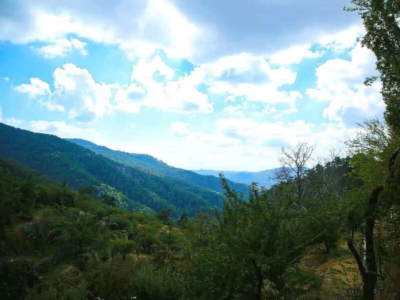 Paphos: Troodos, Omodos & Kykkos Monastery Full-Day Tour - An In-Depth Look at the Tour Experience