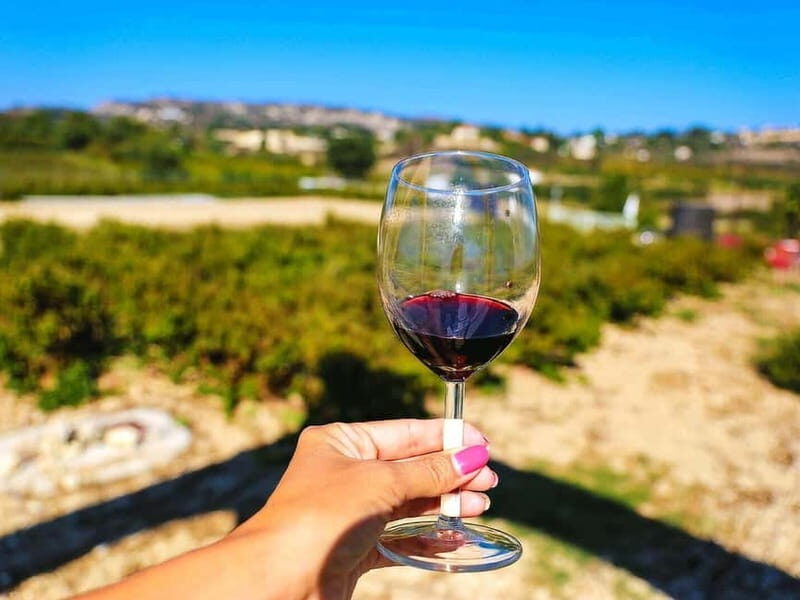 Paphos: Wine Tour  Vineyards, Tastings & Scenic Views - What to Expect from the Paphos Wine Tour