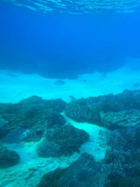 Paphos: Yellow Submarine Swim Cruise with Unlimited Drinks - FAQs