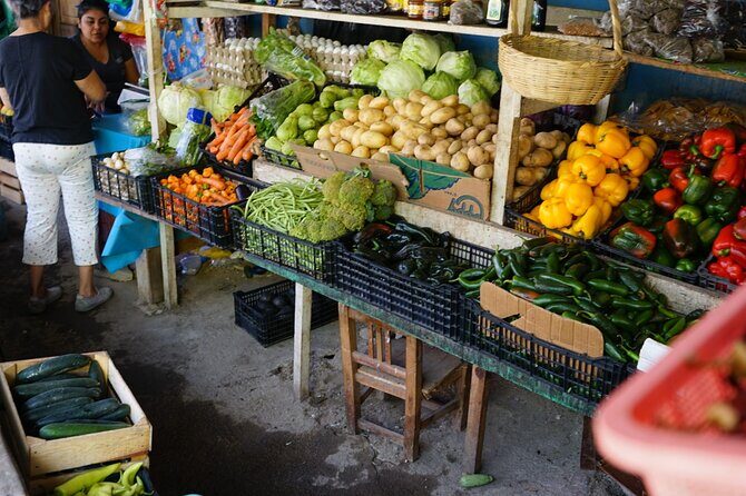 Parachute Experience in Puerto Vallarta - The Safety and Logistics