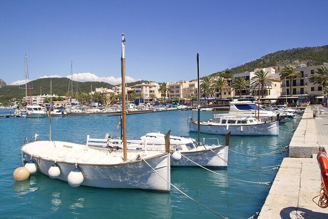 Paradise 4h Catamaran Tour of Mallorca and Puerto Andratx - Authentic Traveler Insights