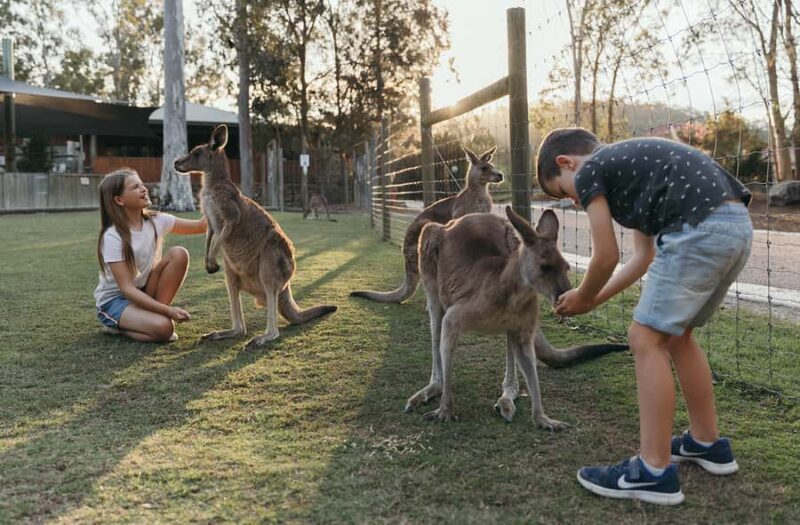 Paradise Country: Ultimate Aussie Farm Experience - A detailed look at the Paradise Country experience