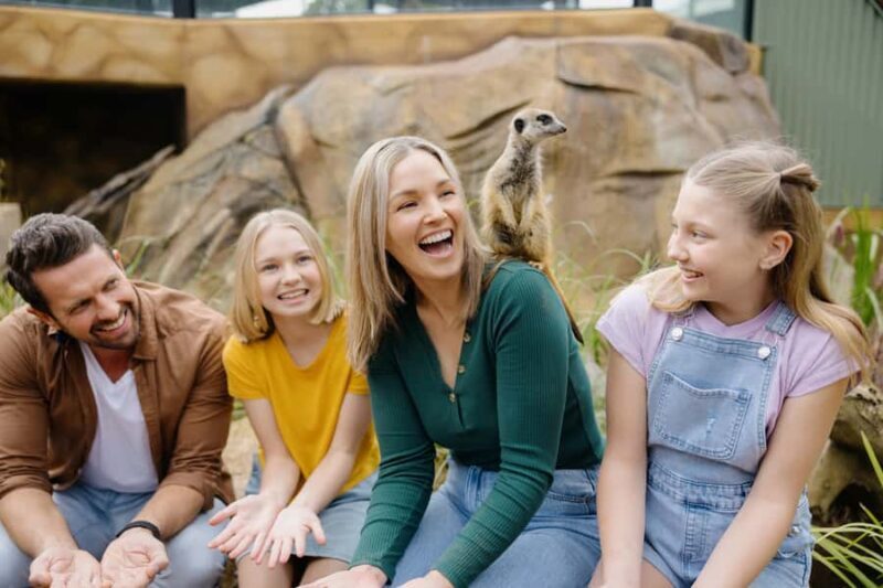 Paradise Country: Ultimate Aussie Farm Experience - FAQs