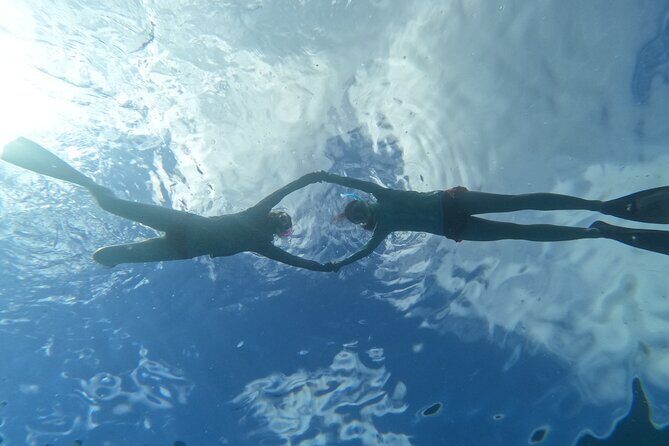 Paradise Honu Morning Snorkeling Tour - Final Thoughts