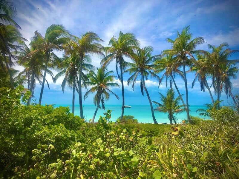 PARADISE ISLAND- ISLA CONTOY AND ISLA MUJERES - Key Points  