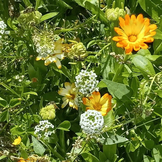 Paradise Valley: Bee Adventure Tour! - Authenticity & Guided Expertise