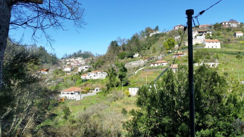 Paradise Valley half-day morning walk. - The Experience: What the Tour Involves