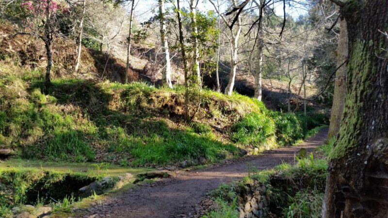 Paradise Valley half-day morning walk. - The Real-World Reviews: What Travelers Say