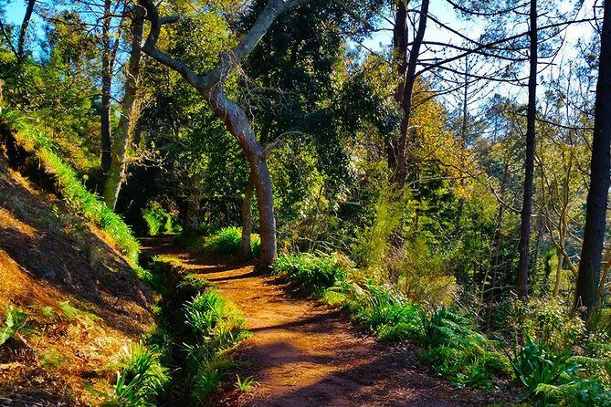 Paradise Valley - Levada Walk - Who Should Consider This Tour?