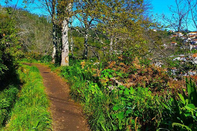 Paradise Valley - Levada Walk - FAQs