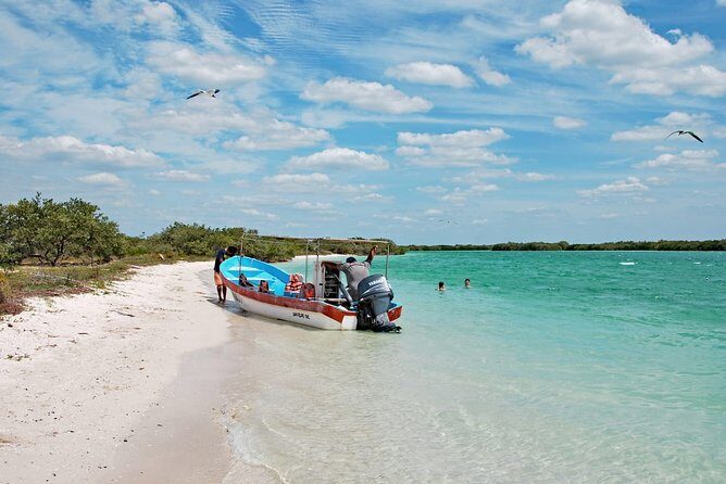 Paradisiacal tour: Las Coloradas Pink Lake and Rio Lagartos with Lunch included. - Is It Worth the Price?