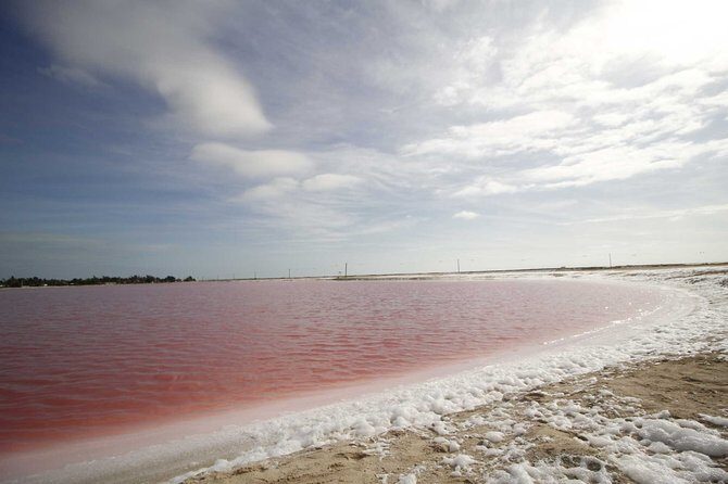 Paradisiacal tour: Las Coloradas Pink Lake and Rio Lagartos with Lunch included. - Final Thoughts