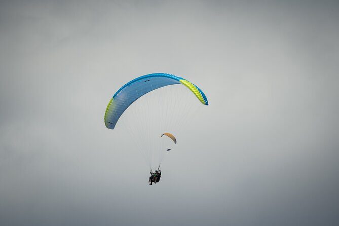 Paragliding Above Lake Ohrid in North Macedonia - What the Reviews Say