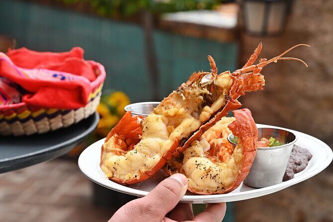 Paragliding Rosarito & Puerto Nuevo Lobster - What the Tour Entails