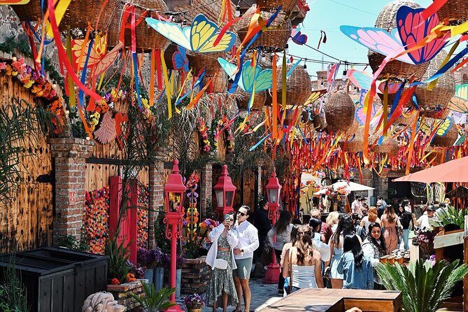 Paragliding Rosarito & Puerto Nuevo Lobster - Authentic Traveler Insights