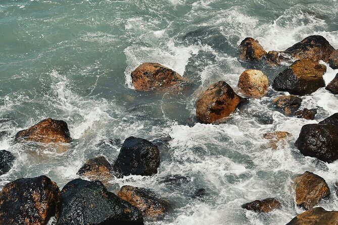 Paragliding Rosarito & Puerto Nuevo Lobster - Who Should Book This Tour?