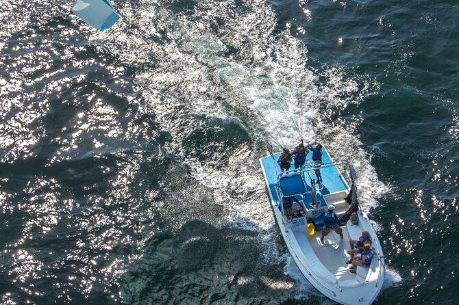 Parasailing Adventure in Los Cabos! Single - The Value of This Experience