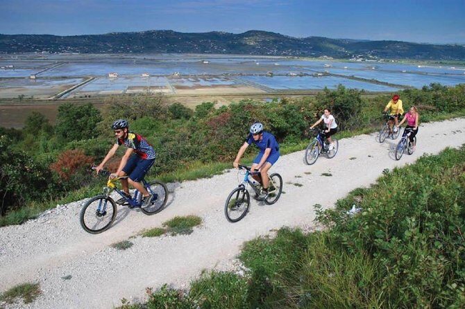 Parenzana Trail Biking Experience from Koper - Key Points