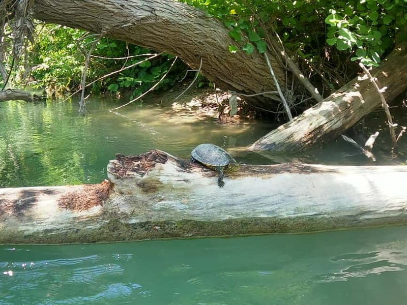 Parga: Kayaking Adventure in the Acheron River 13 km - Introduction to the Acheron River Kayaking Tour