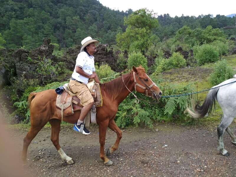 Paricutin Volcano Crater Special Tour - Paricutin Volcano Crater Special Tour Review