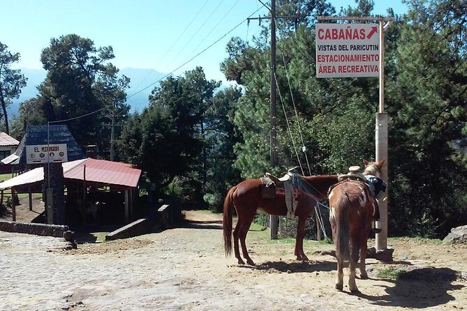 Paricutin Volcano Tour (Morelia) - A Full Breakdown of the Paricutin Volcano Tour