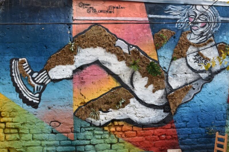 Paris: Belleville Street Art Tour with an Artist - Frequently Asked Questions (FAQs)  