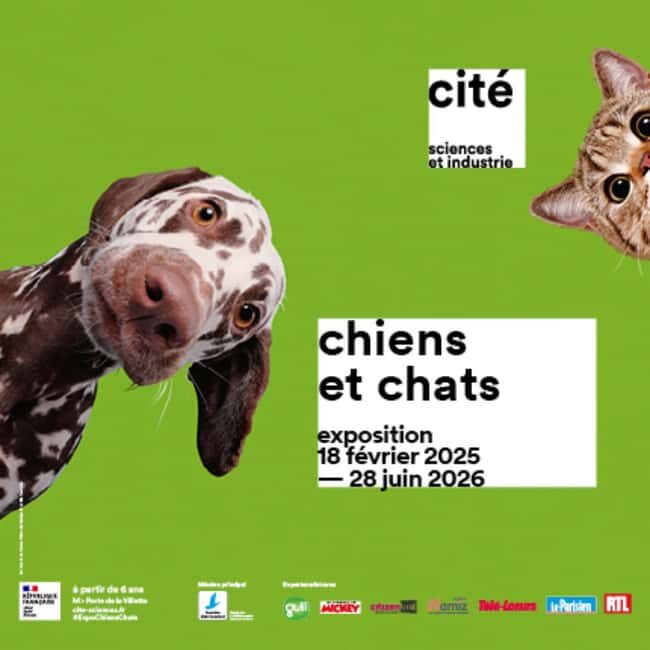 Paris: City of Science and Industry Museum Entry Ticket - FAQ