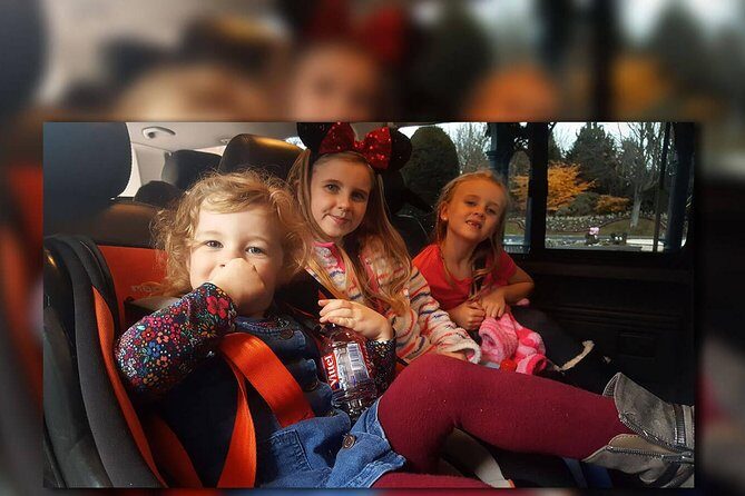 PARIS - Euro Disney (One Way) Private Shuttle Transfer - The Experience: What You Can Expect