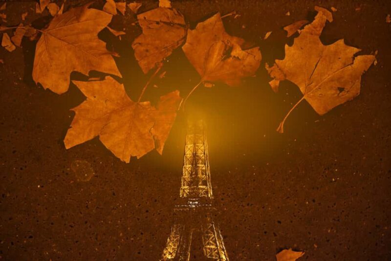 Paris: Experience the magic of Christmas on a walk with a pro photographer - Final Thoughts