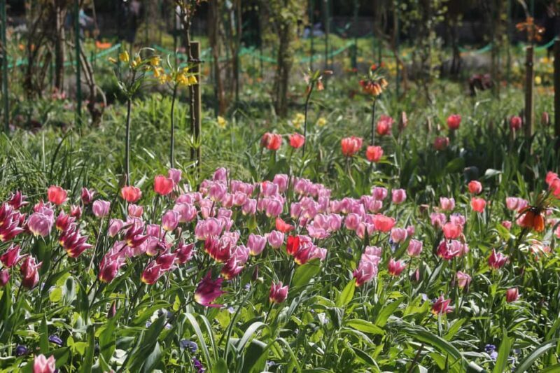 Paris: Giverny Gardens Day Trip with Professional Tour Guide - Who Will Love This Tour?