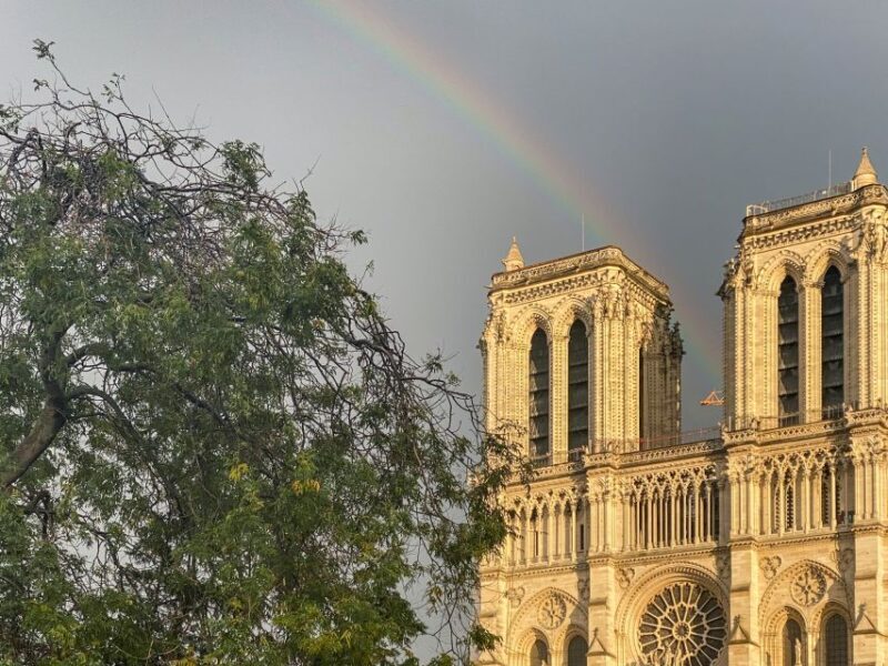 Paris: Île de la Cité and Notre-Dame Walking Tour With Crypt - Practical Tips for the Tour