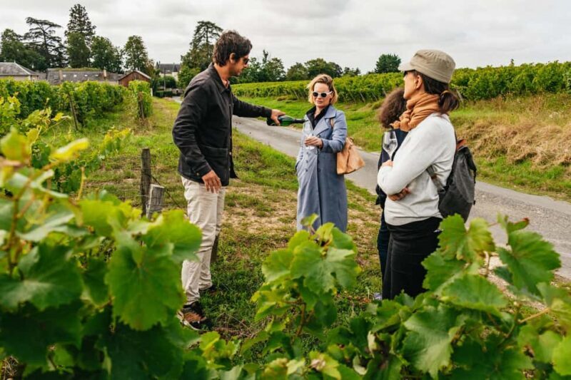 Paris: Loire Valley Chambord Castle, Wine Tasting & Lunch - The Authenticity and Experience You’ll Get