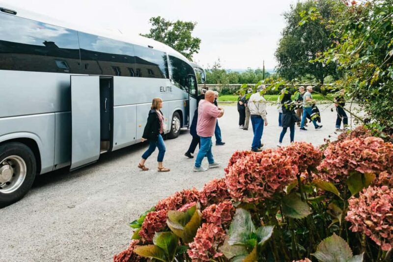 Paris: Normandy D-Day Sites Guided Day Trip with Lunch - A Detailed Look at the Normandy D-Day Guided Day Trip