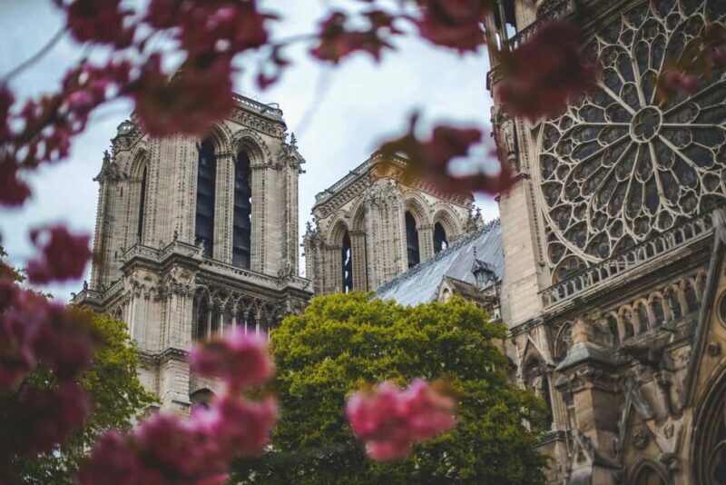 Paris: Notre Dame Cathedral Tour & Seine River Cruise - Who Will Love This Experience?