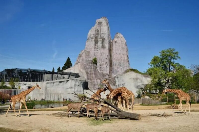 Paris: Paris Zoological Park Entrance Ticket - Introduction: What’s the Paris Zoological Park All About?