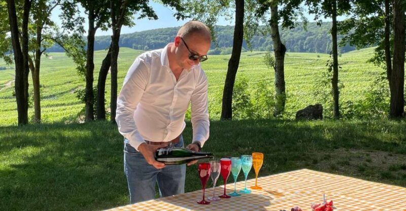 Paris: Private Epernay Trip with Champagne Vineyard Tastings - Who Should Consider This Tour?