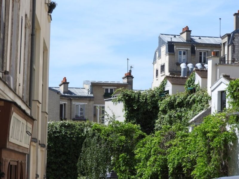 Paris: Sacré-Coeur and Montmartre Tour with Expert Guide - Accessibility and Comfort