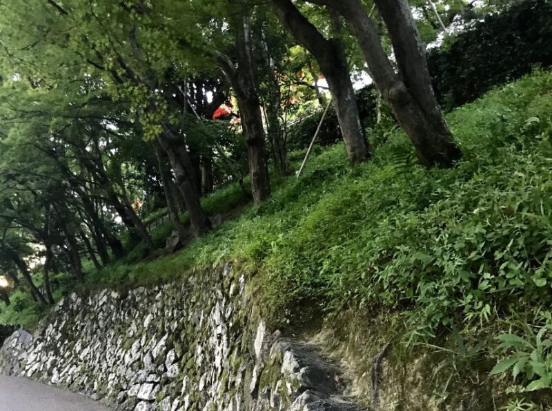 Paris Secret Gardens 1.30 hour long Walking Tour - Why This Tour Is Worth Considering