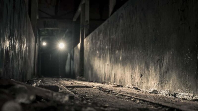 Paris: "The Live Thriller" Hunt down a Serial Killer - Who Will Benefit Most?