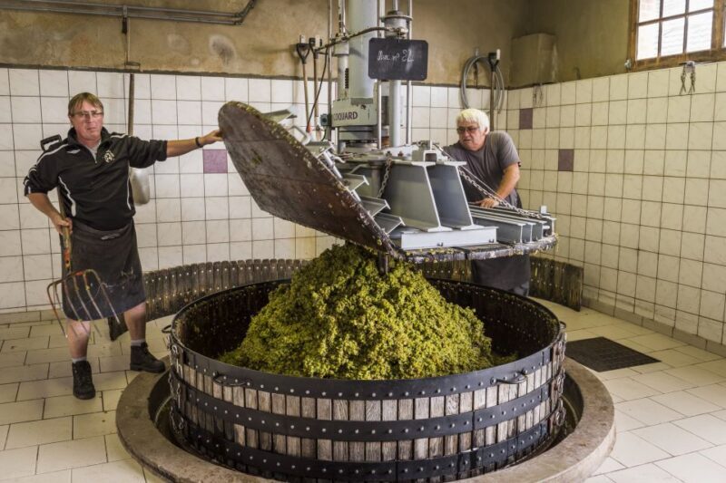 Paris: Two Reims Champagne Vineyards with Tastings and Lunch - Key Points