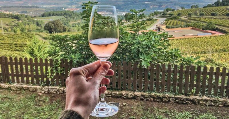 Paris: Two Reims Champagne Vineyards with Tastings and Lunch - Lunch and the Village of Lude