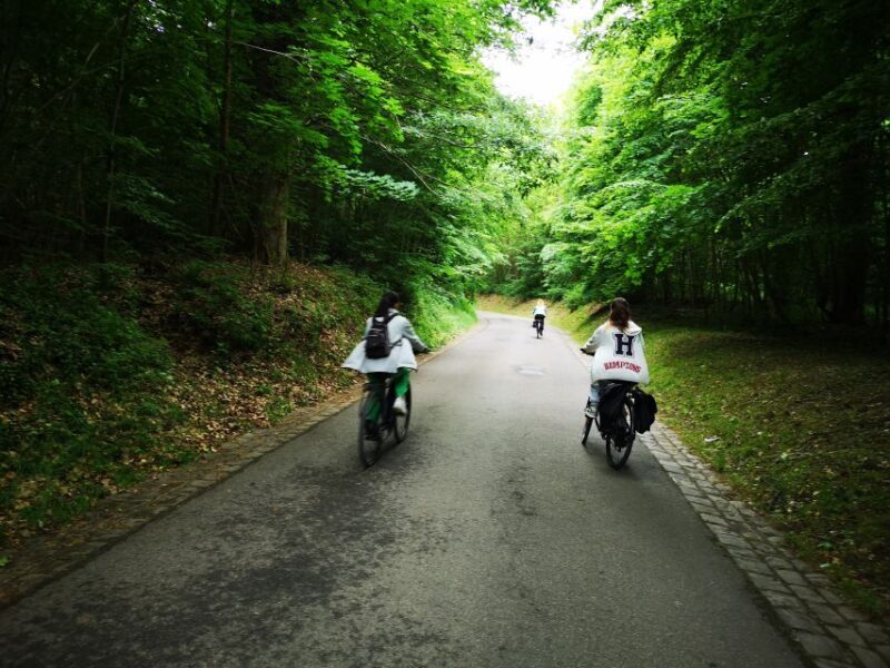 Paris: Versailles Palace and Queen Hamlet E-Bike Tour - Visiting the Royal Residences