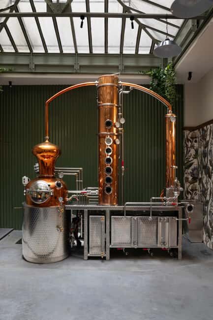 Paris Visit and gin tasting in English - Practical Details: What You Should Know