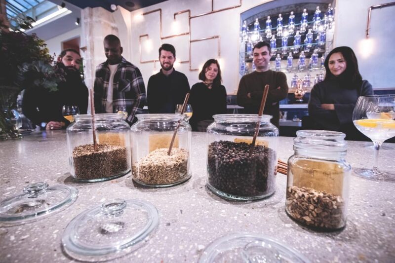 Paris Visit and gin tasting in English - Who Should Consider This Tour?