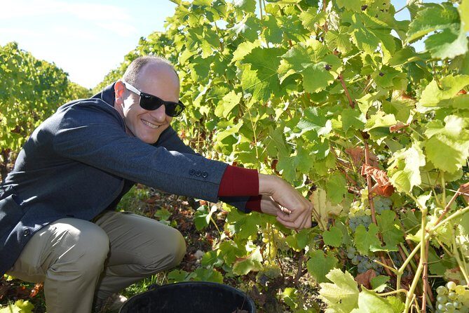 Paris Wine Day Tours exclusive Champagne tour incl. 3 visits - Exploring the Itinerary: What You Can Expect