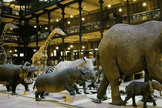 Paris With Kids - A Private Family Experience - FAQ