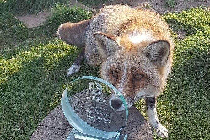 Park Entry for a Family of 4 (2 adults and 2 children) - A Closer Look at the Itinerary